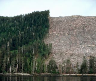 Maplecroft | Sustainability, Resilience and ESG Risk Data & Intelligence