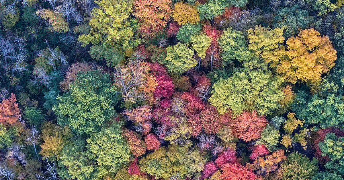 Climate risk assessment & reporting | Maplecroft