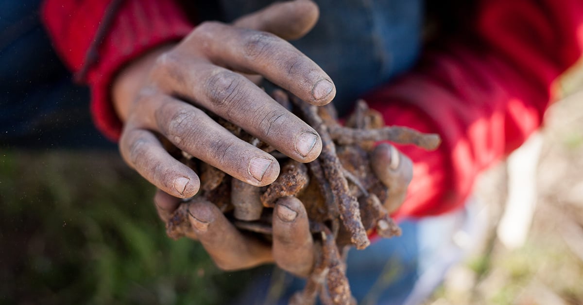 Human Rights Data | Maplecroft