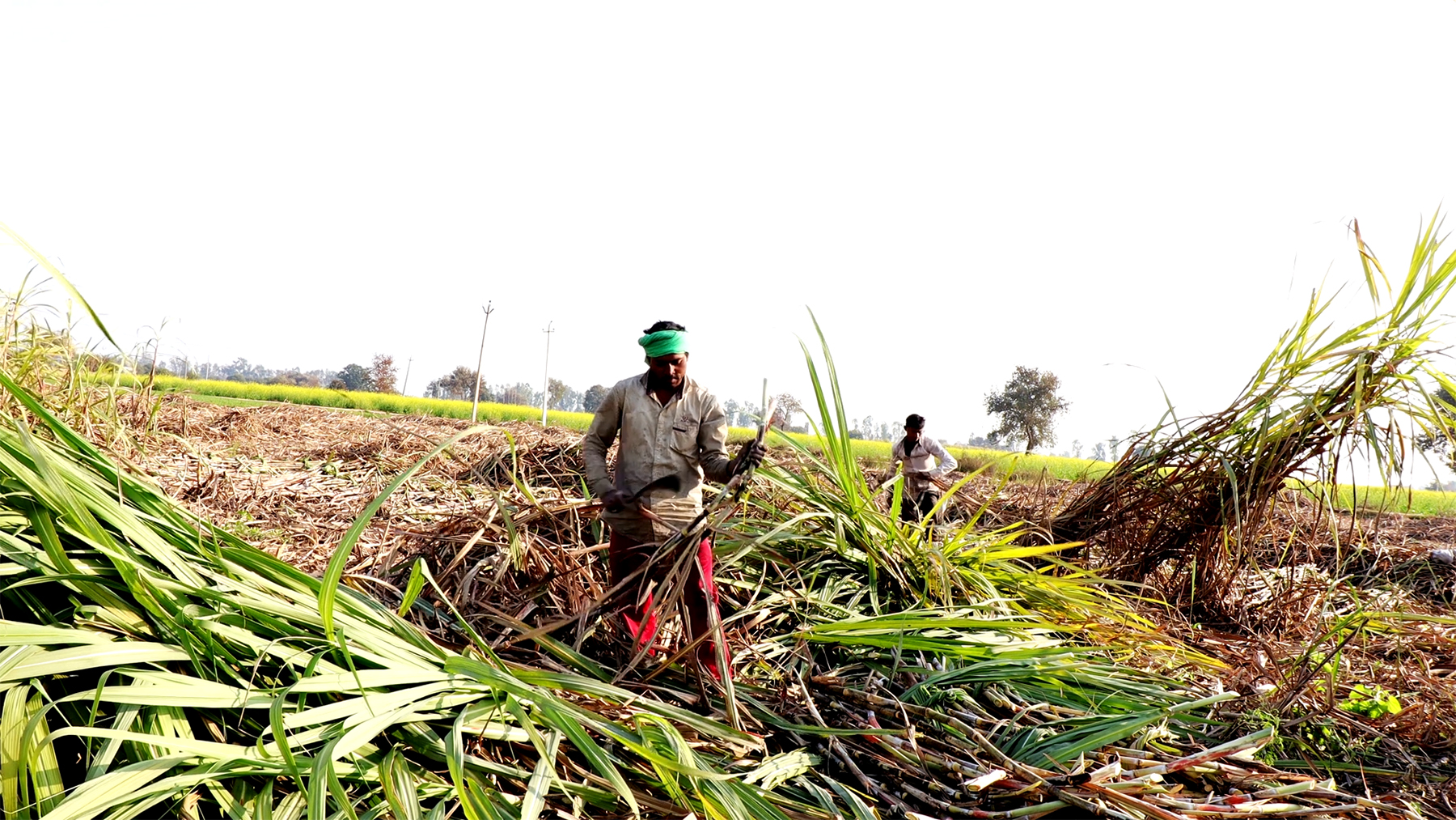 Maplecroft | Global Risk Indices, Country Analysis & Trusted Advisory