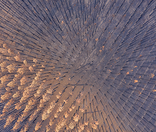 Maplecroft | Sustainability, Resilience and ESG Risk Data & Intelligence