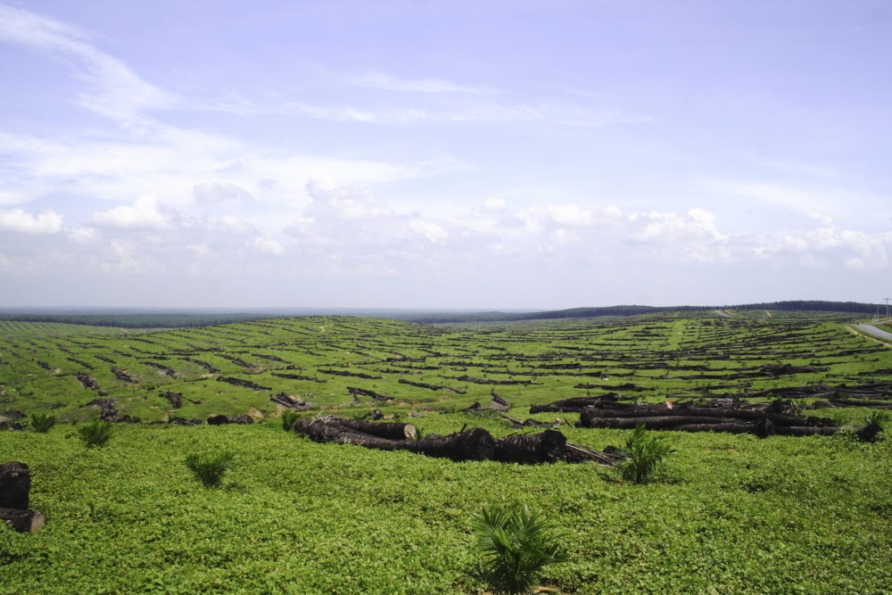 Maplecroft | Sustainability, Resilience and ESG Risk Data & Intelligence